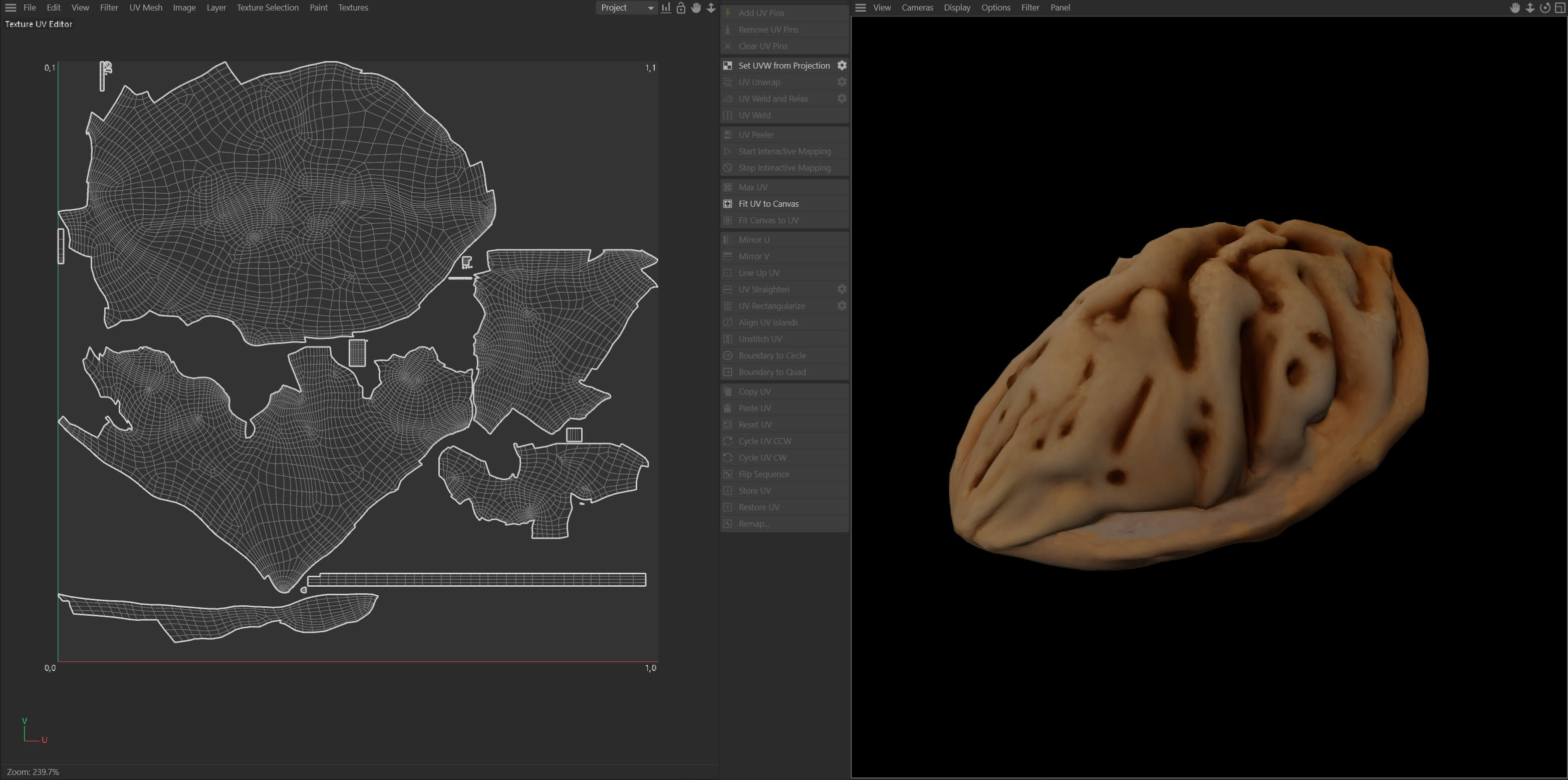 Peach Seed 3D Model by 3dstudio