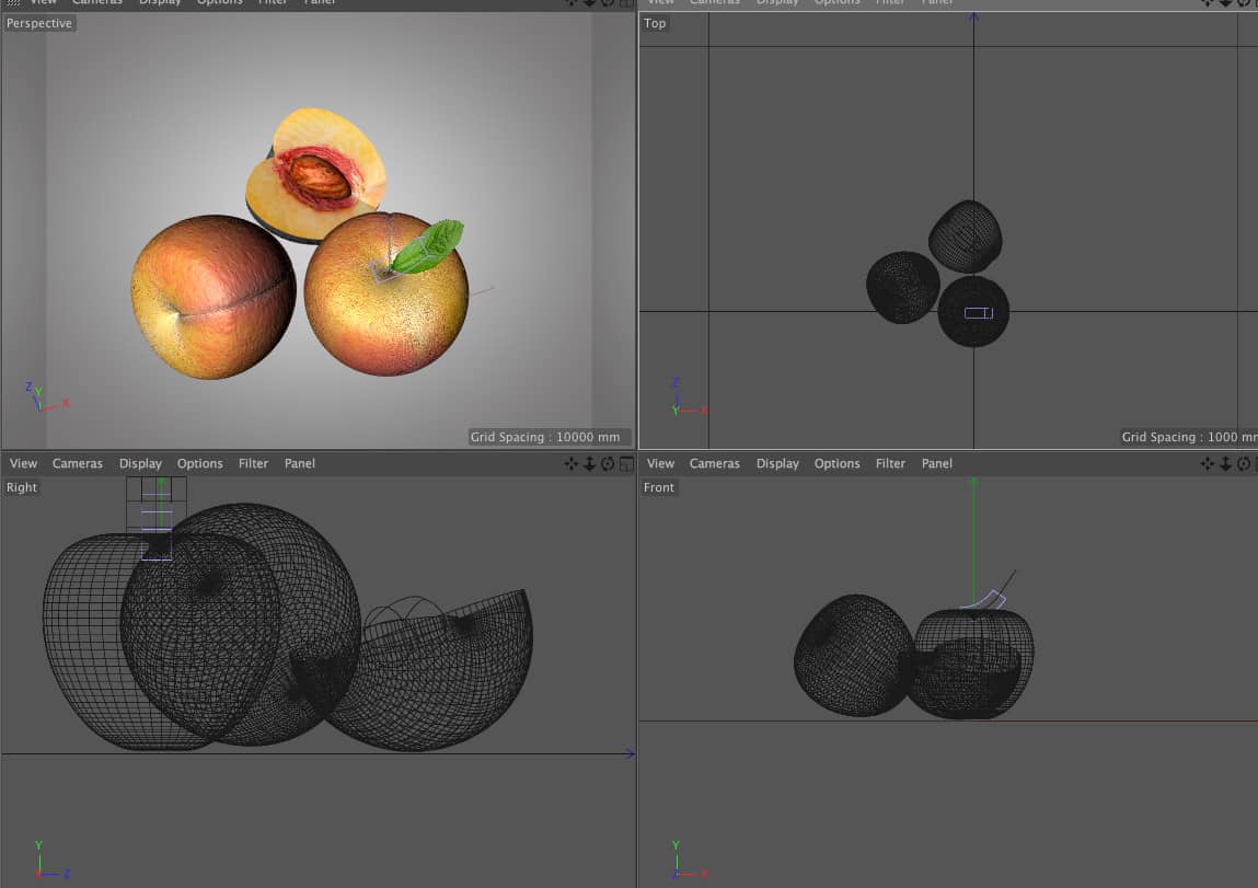 Peach - 3D Model by 3dstudio