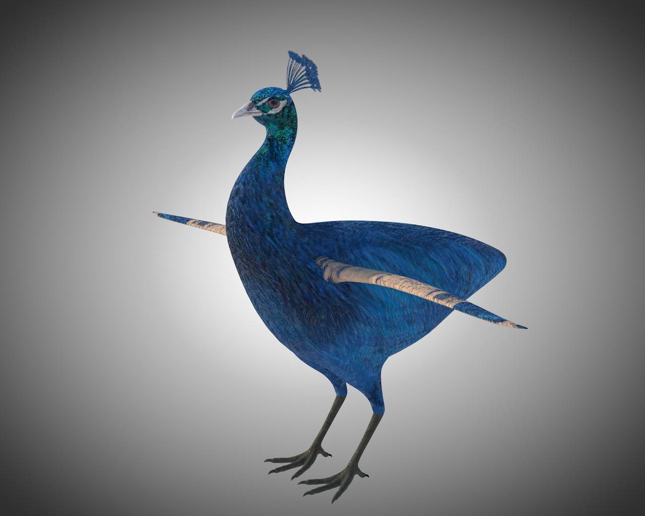 Peacock - 3D Model by 3dstudio
