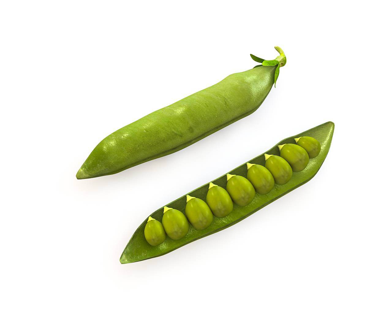 Peas - 3D Model by 3dstudio
