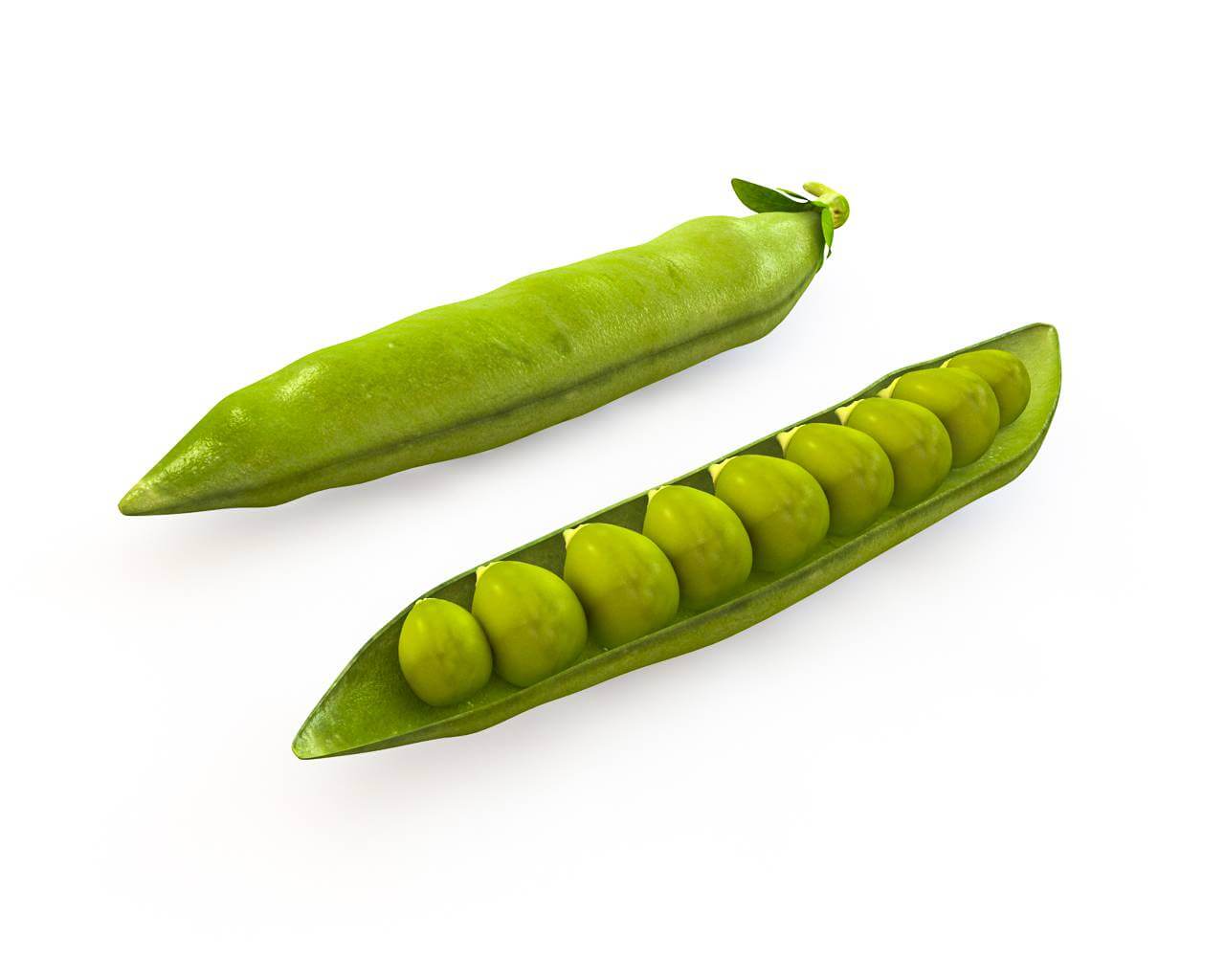 Peas - 3D Model by 3dstudio