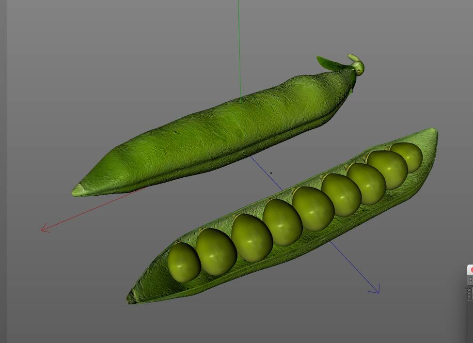 Peas - 3D Model by 3dstudio