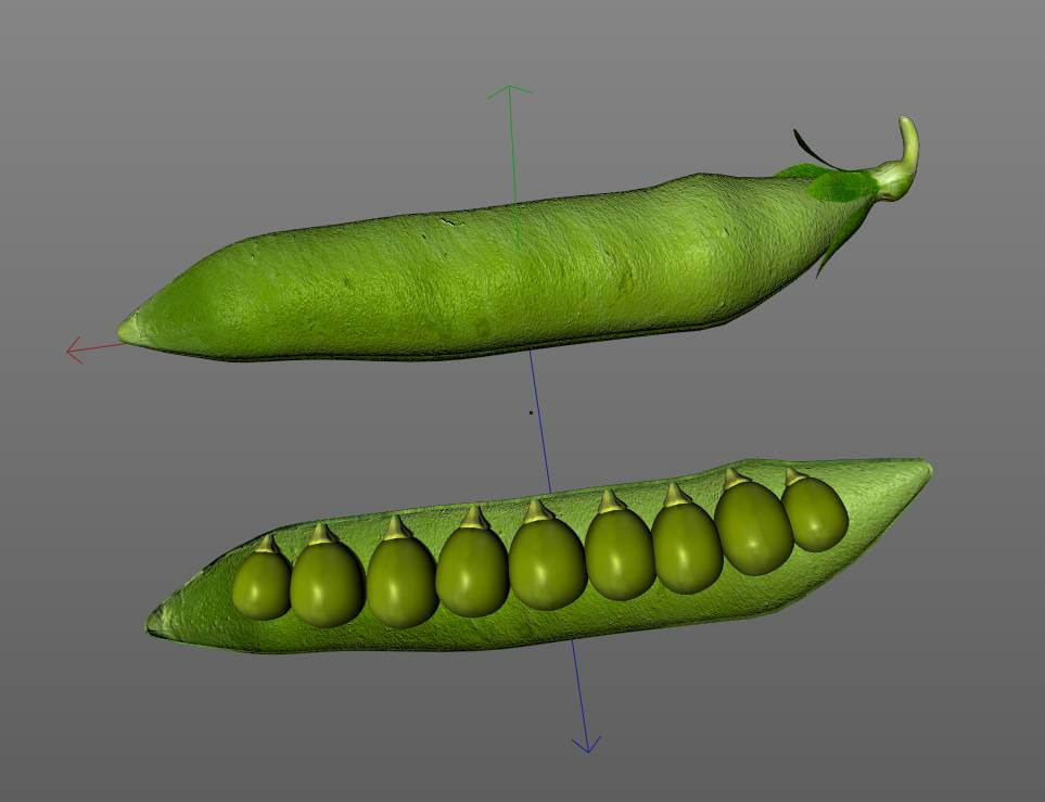 Peas - 3D Model by 3dstudio