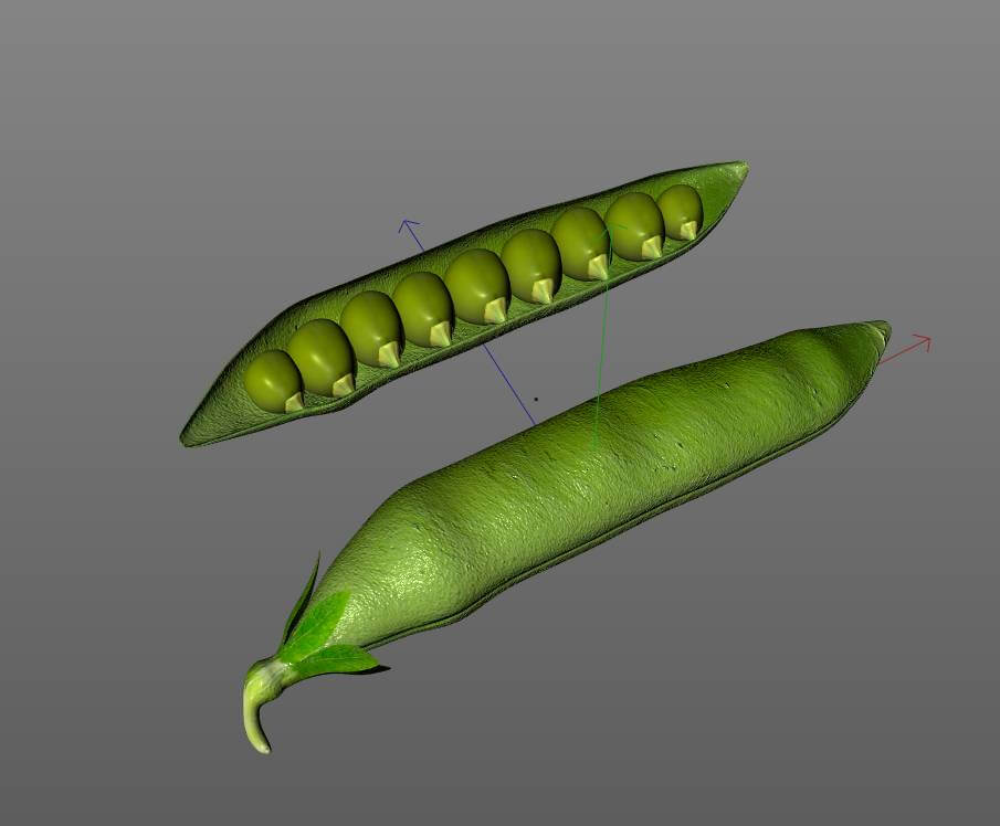 Peas - 3D Model by 3dstudio