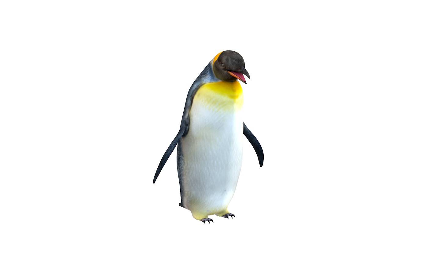 Penguin - Free 3D Model by 3dstudio