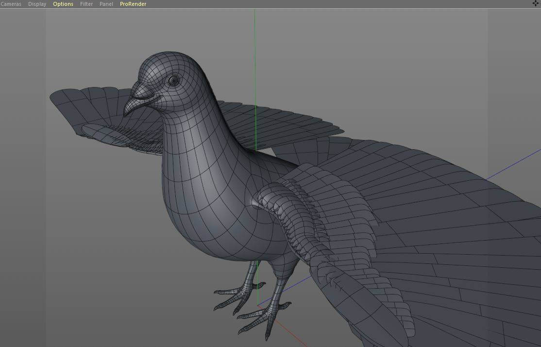 Pigeon - 3D Model by 3dstudio