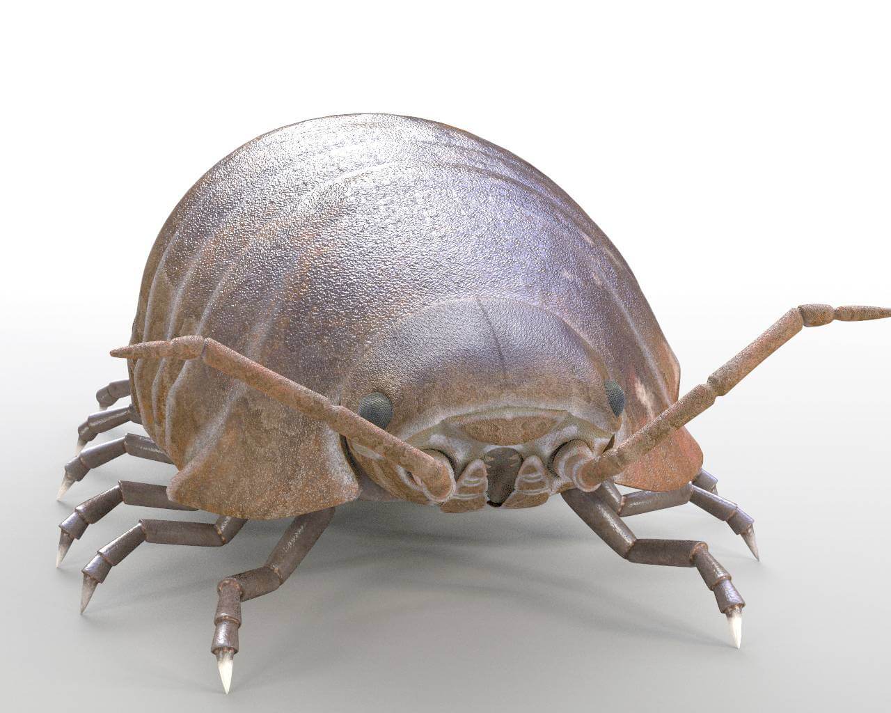 Pillbug - 3D Model by 3dstudio