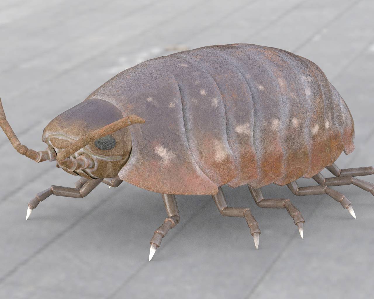 Pillbug - 3D Model by 3dstudio