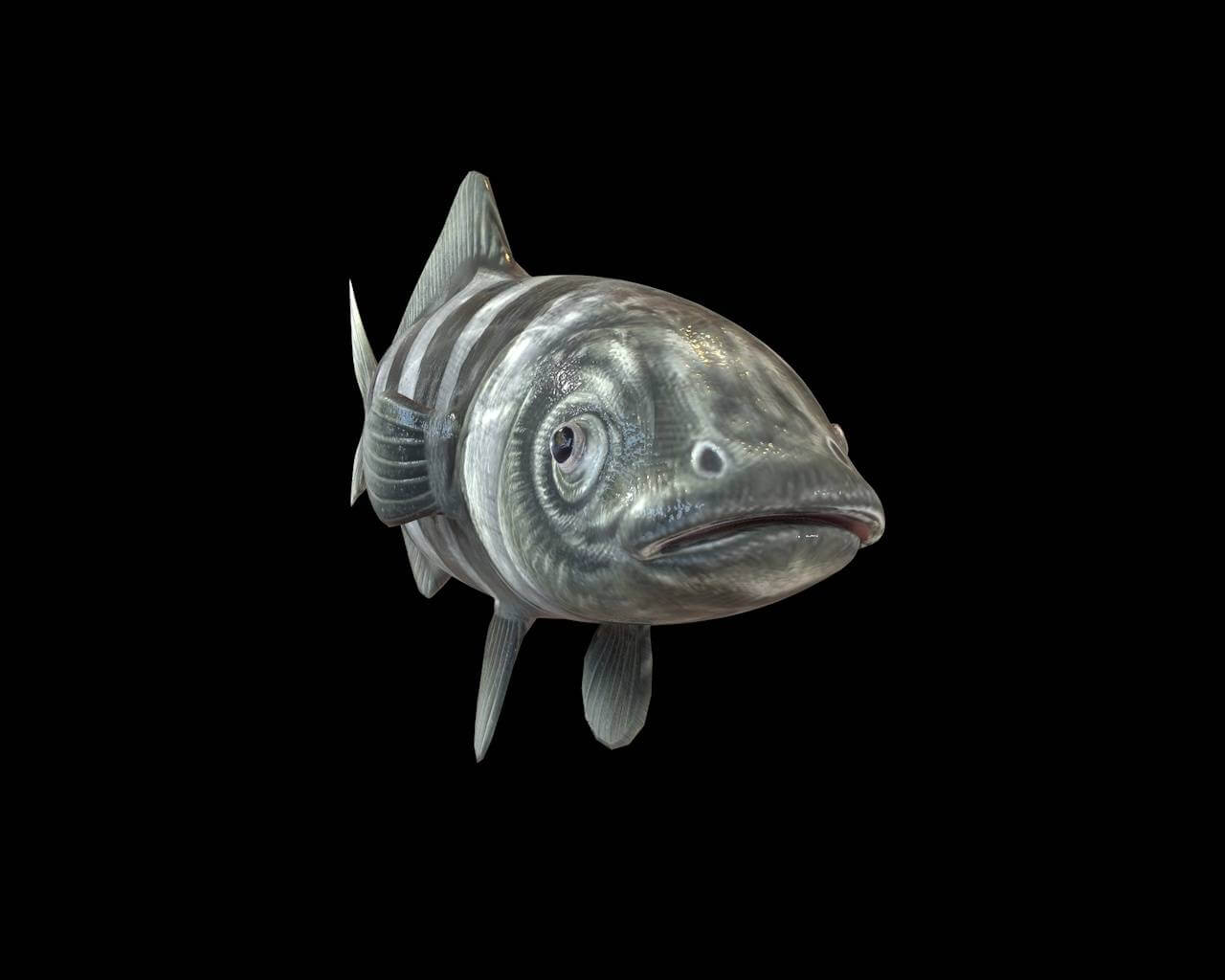 Pilot Fish - 3D Model by 3dstudio