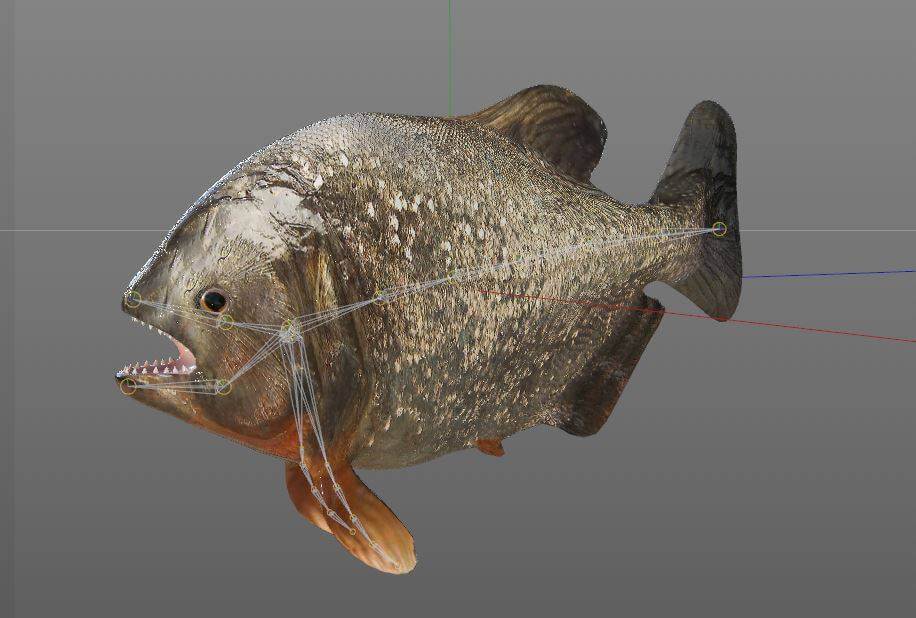 Piranha - 3D Model by 3dstudio