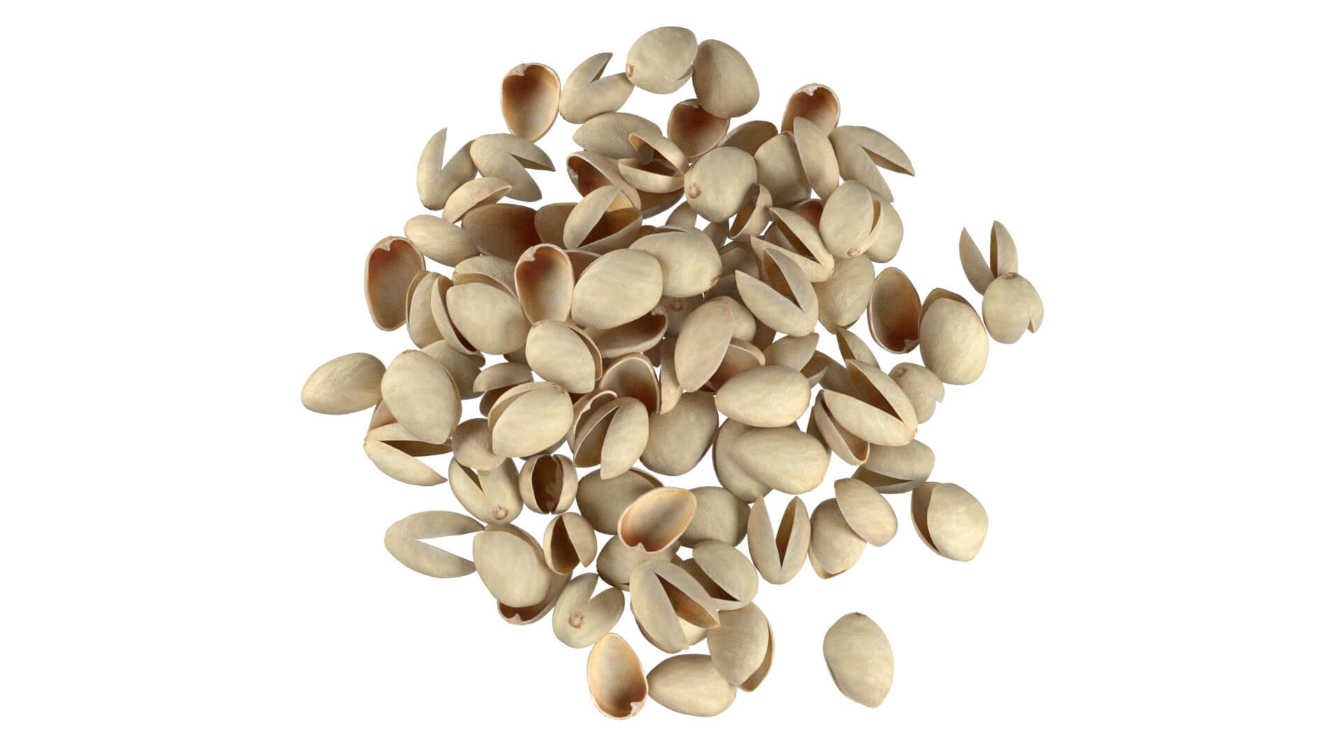 Pistachio Shell Pile - 3D Model by 3dstudio