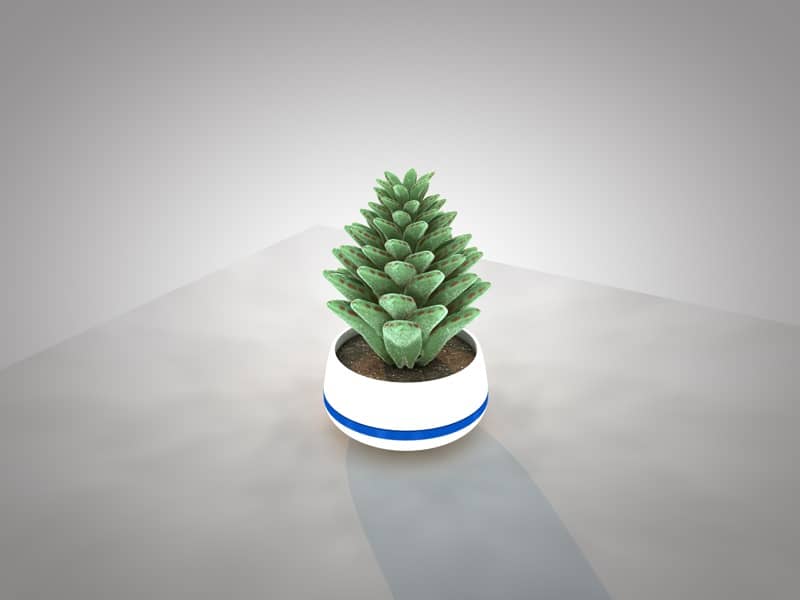 Plant - Free 3D Model by 3dstudio