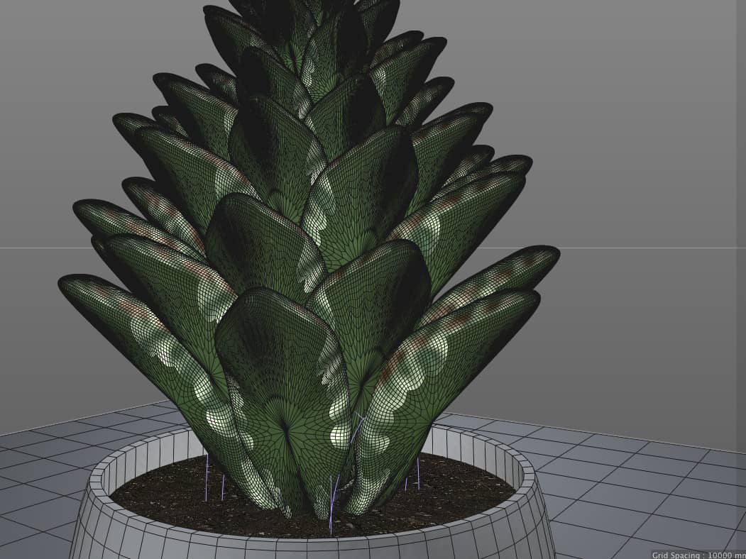 Plant - Free 3D Model by 3dstudio