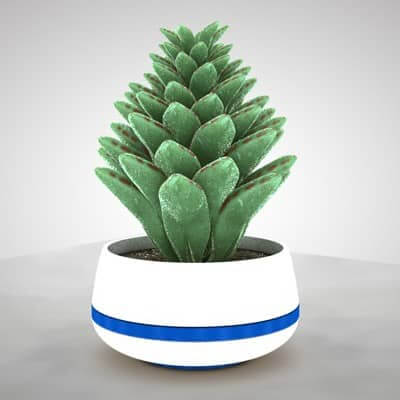 Plant - Free 3D Model by 3dstudio