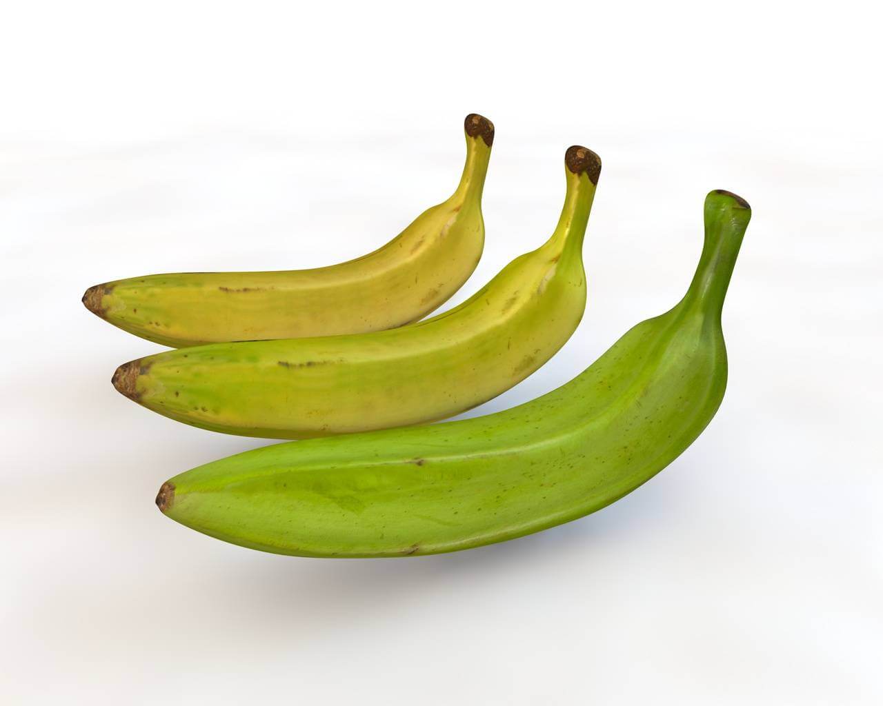 Plantain (3 Types) - 3D Model by 3dstudio