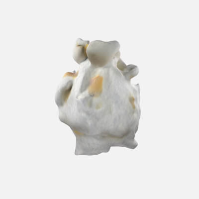 Popcorn 2 3D Model by 3dstudio