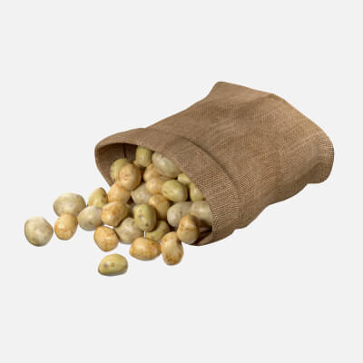 Potato Sack 3d model by 3dstudio