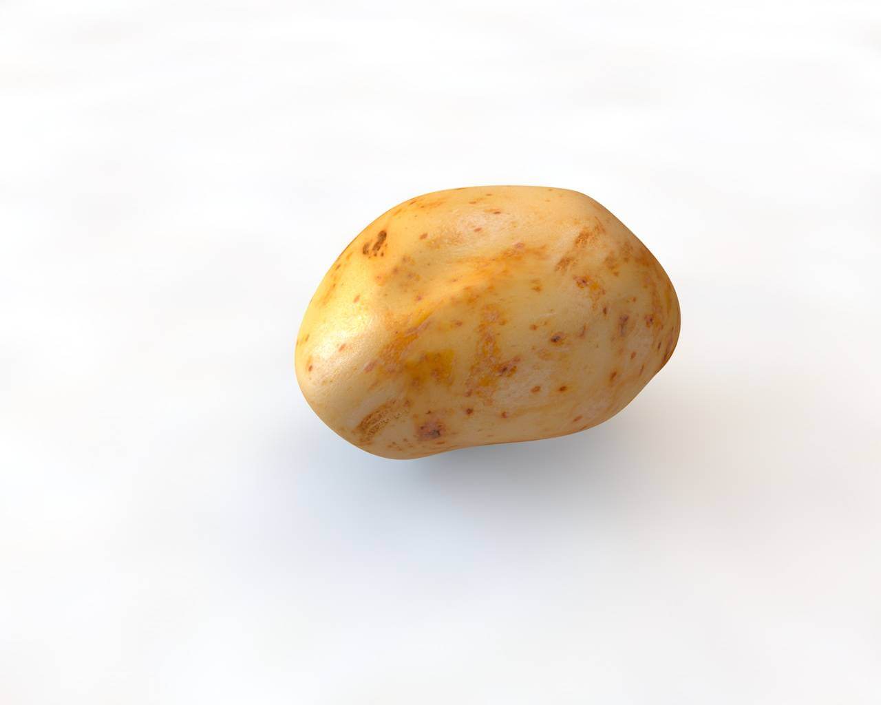 Potato V1 - 3D Model by 3dstudio