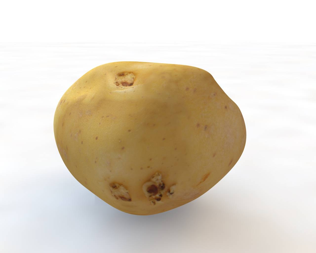 Potato V3 - 3D Model by 3dstudio