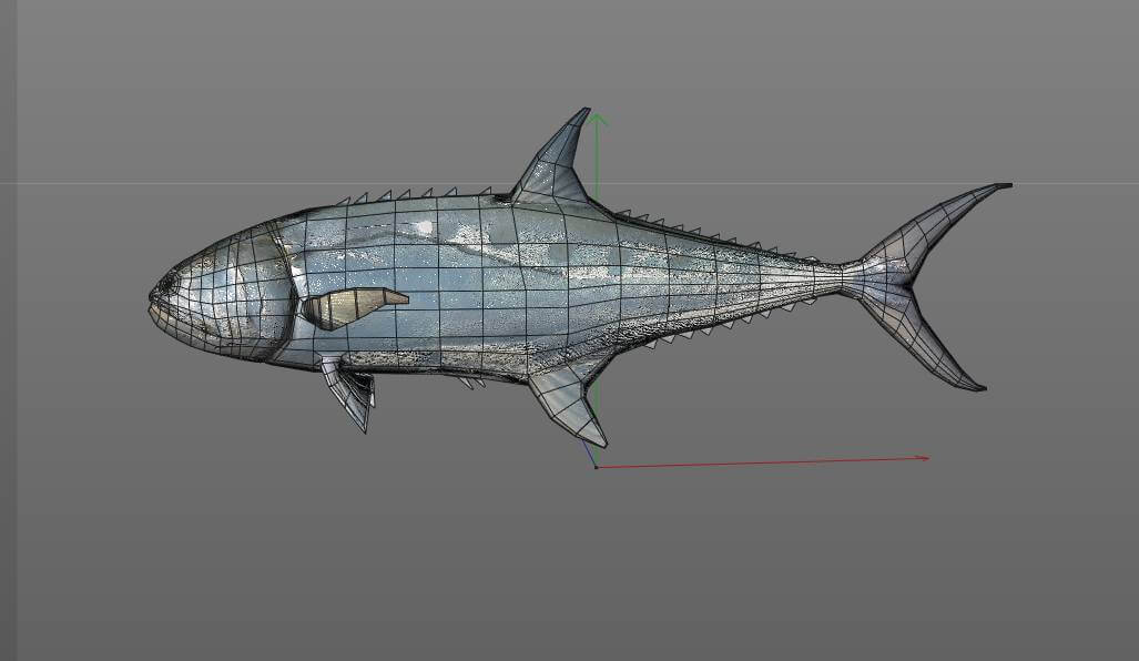 Queenfish - 3D Model by 3dstudio