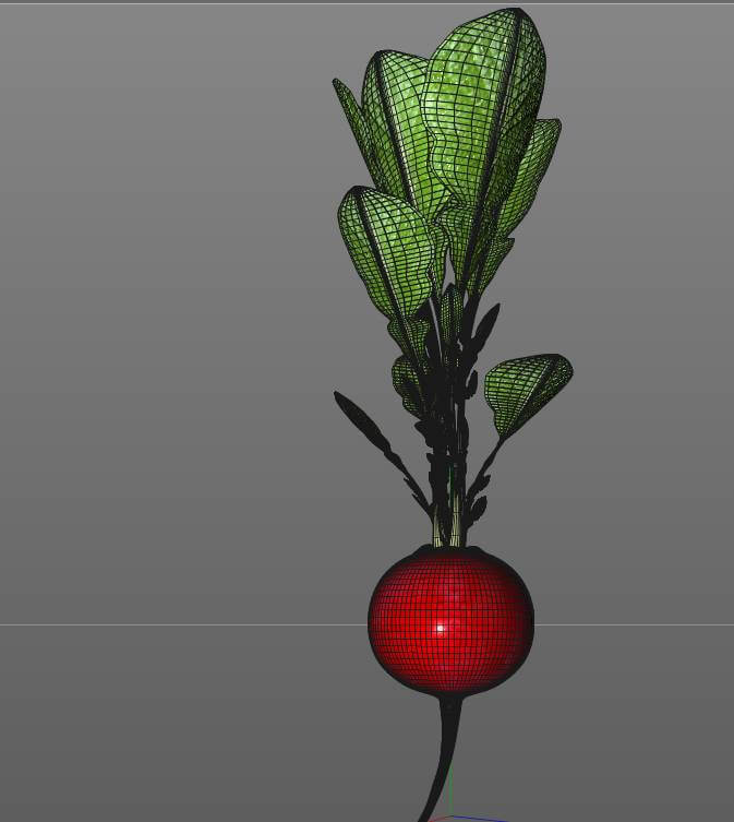 Radish (Red) - 3D Model by 3dstudio