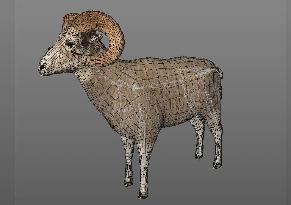 Ram Sheep White - 3D Model by 3dstudio