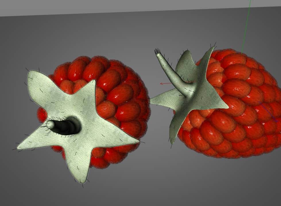 Raspberry - 3D Model by 3dstudio