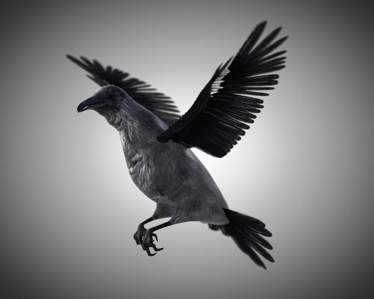Raven - 3D Model by 3dstudio