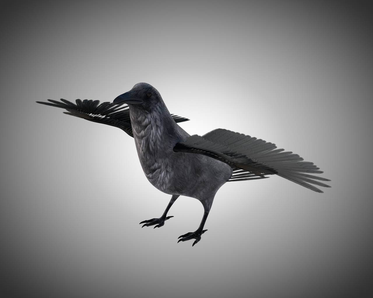 Raven - 3D Model by 3dstudio
