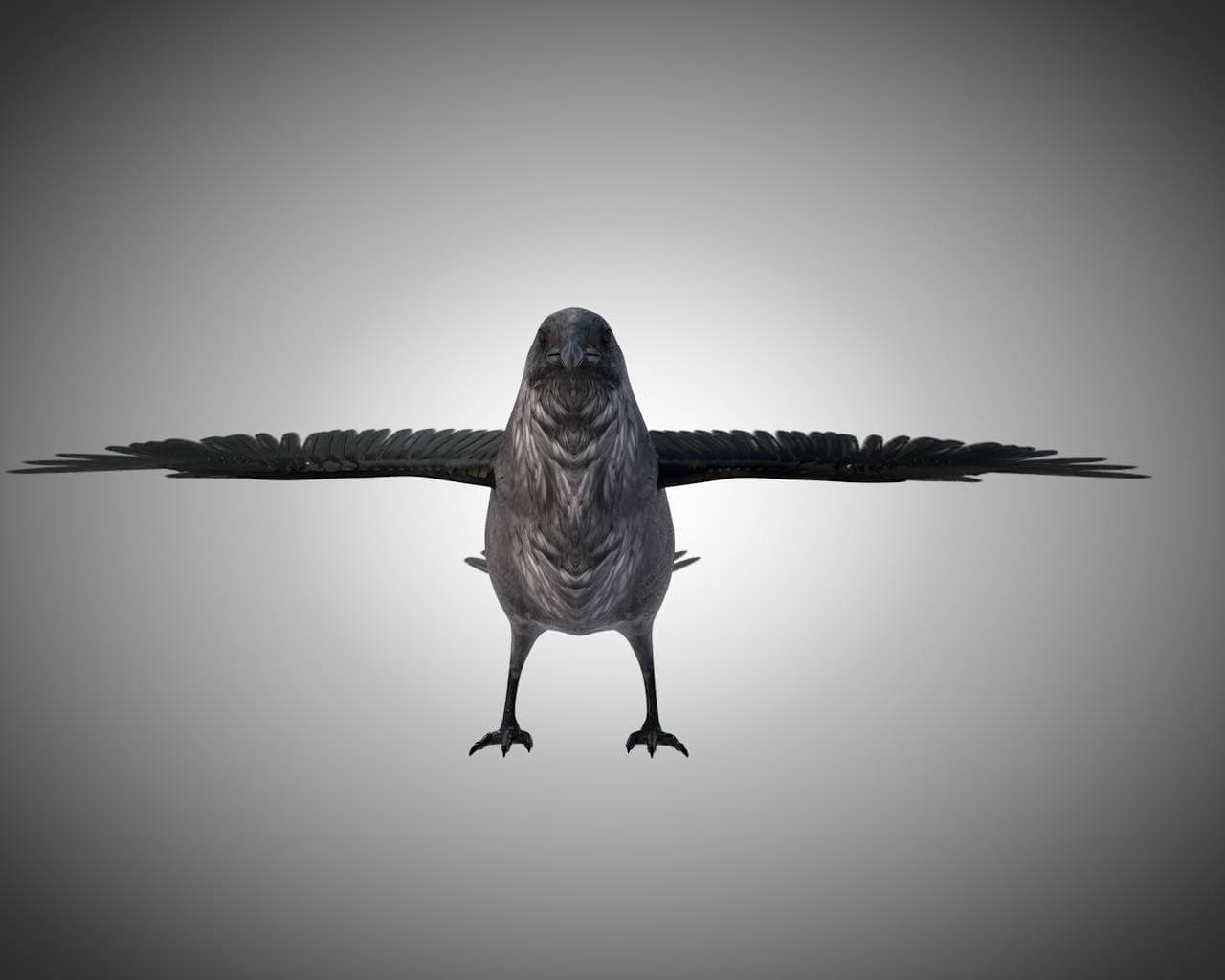 Raven - 3D Model by 3dstudio