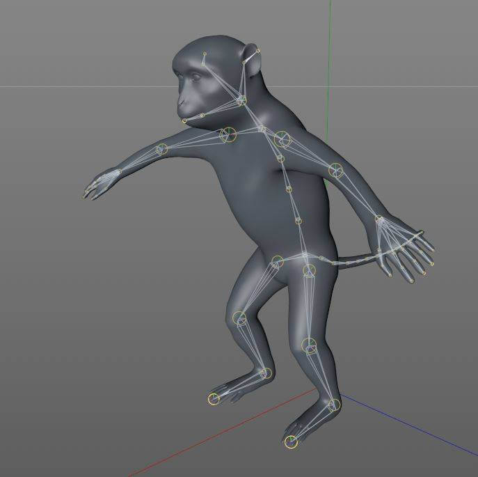 Rhesus Monkey - 3D Model by 3dstudio