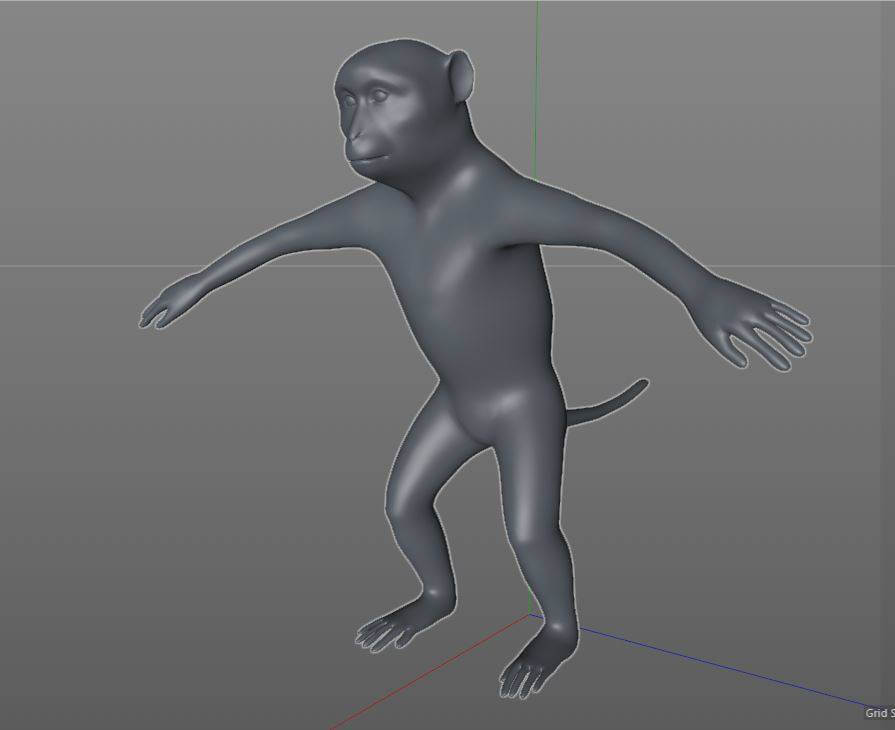 Rhesus Monkey - 3D Model by 3dstudio