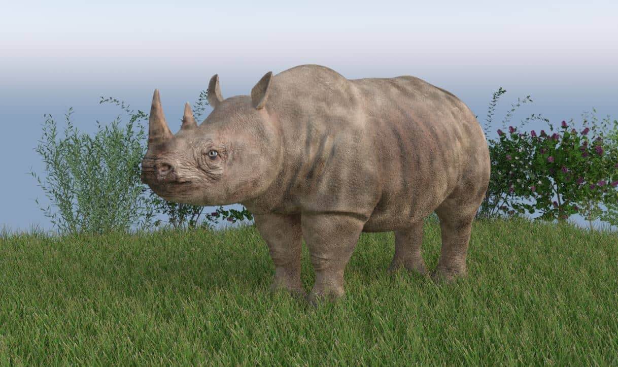 Rhino - 3D Model by 3dstudio
