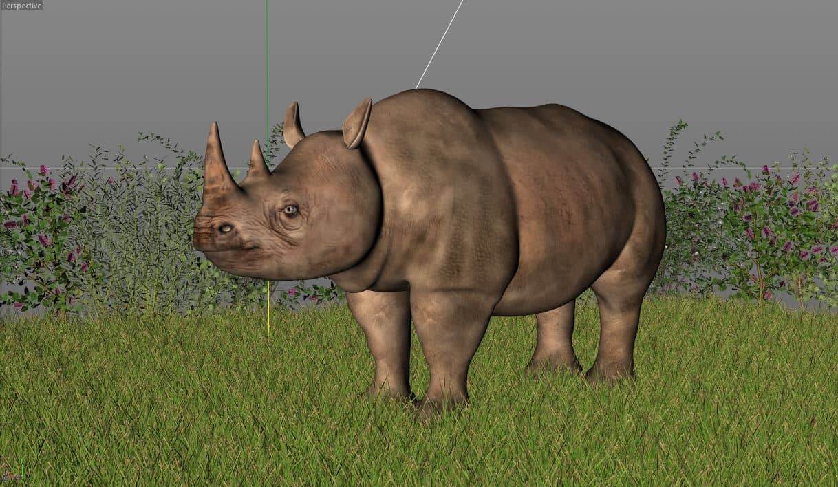Rhino - 3D Model by 3dstudio
