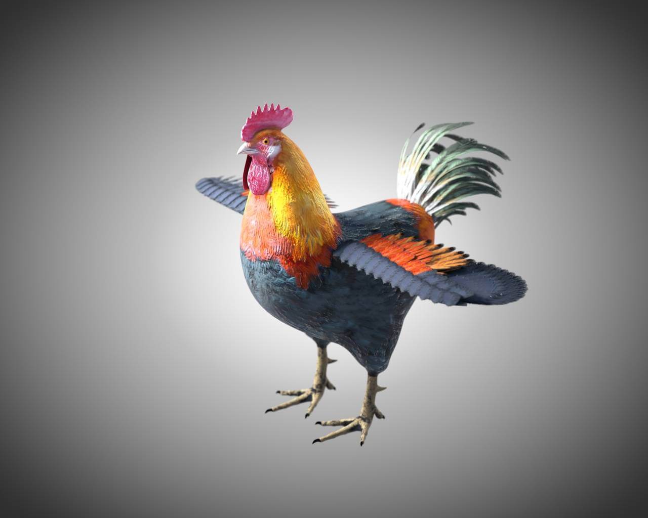 Rooster - 3D Model by 3dstudio