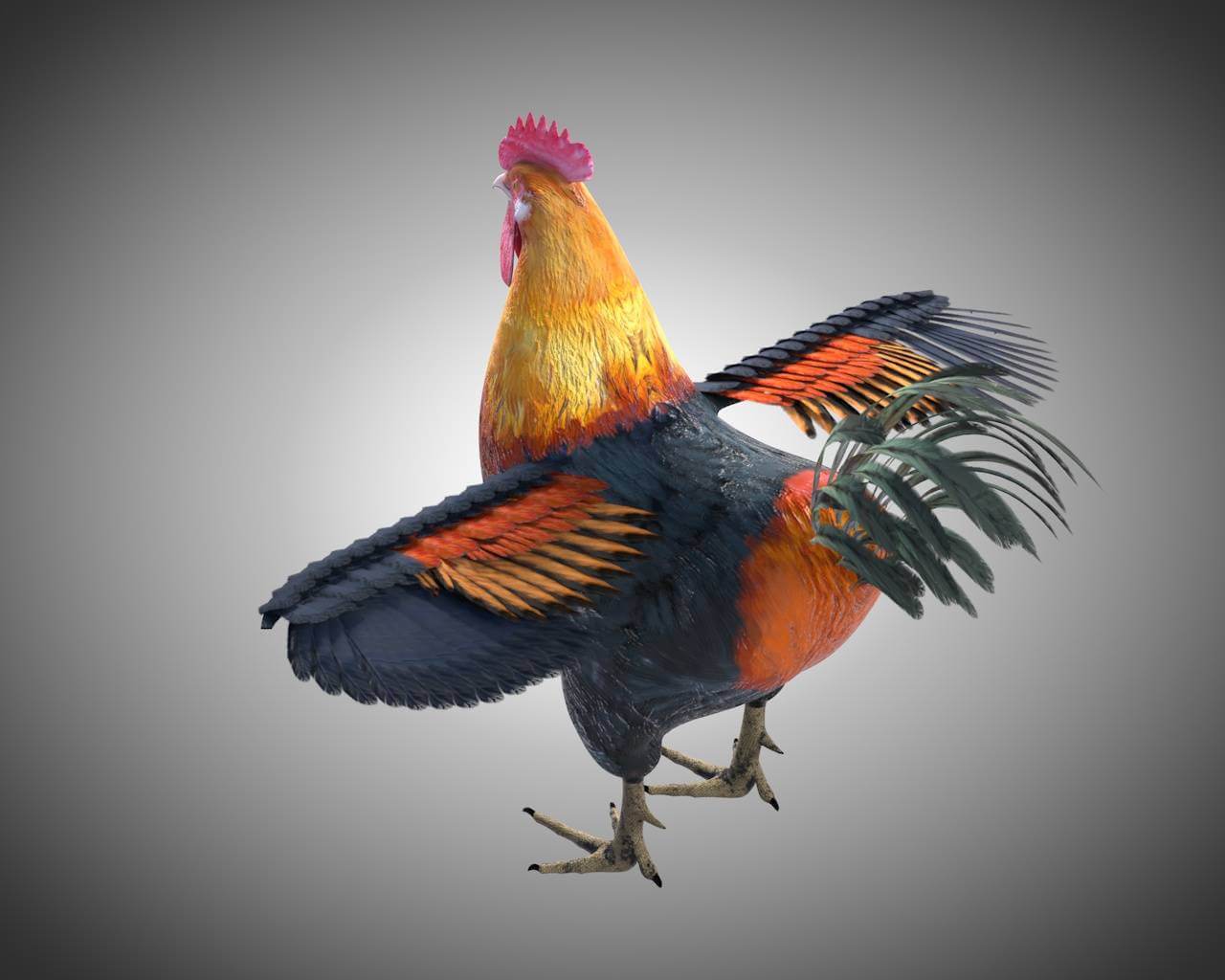 Rooster - 3D Model by 3dstudio