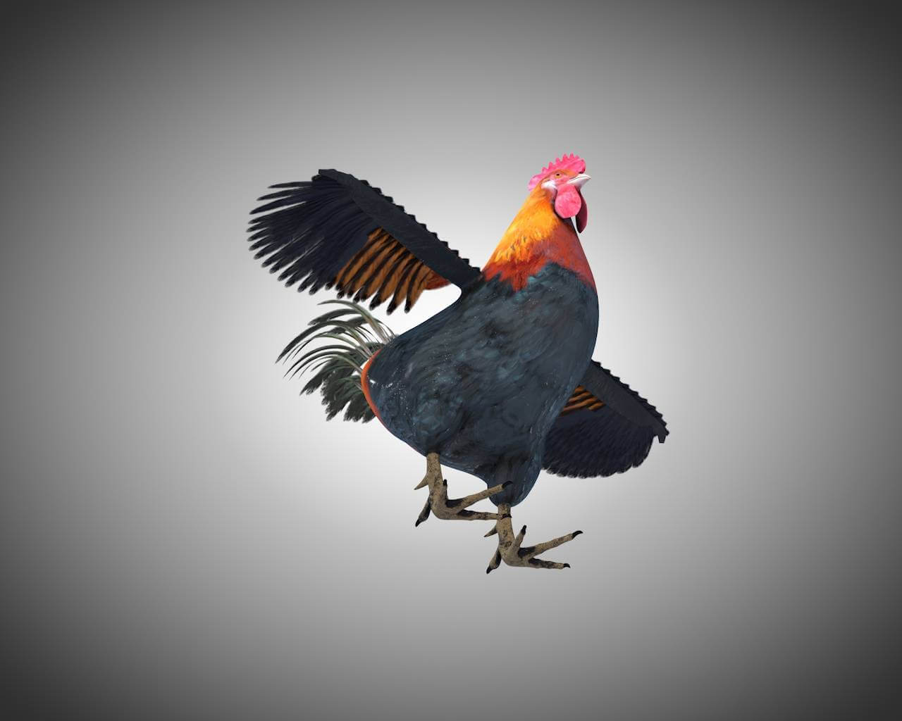 Rooster - 3D Model by 3dstudio