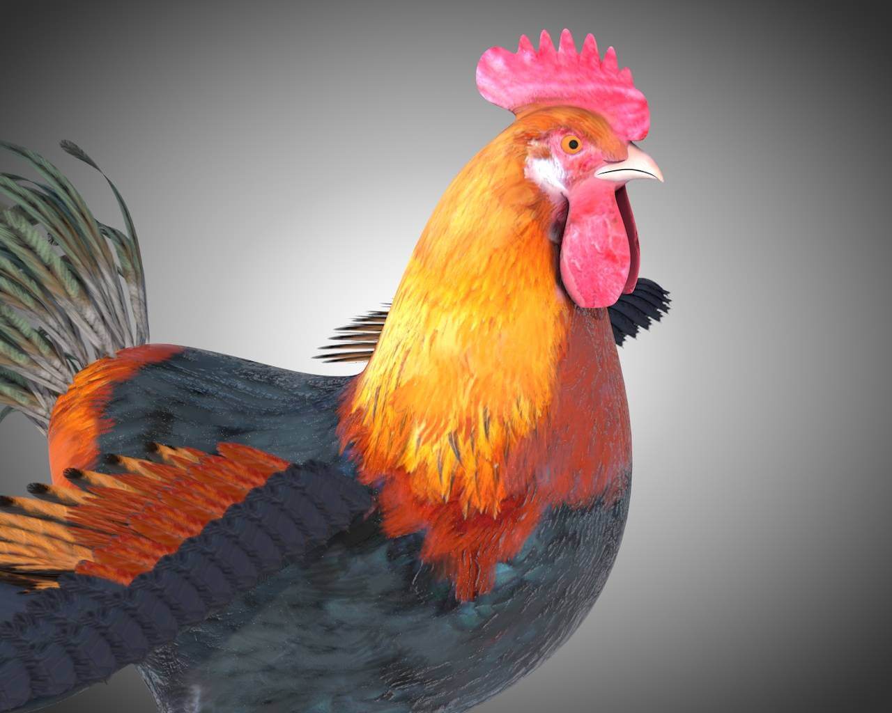 Rooster - 3D Model by 3dstudio