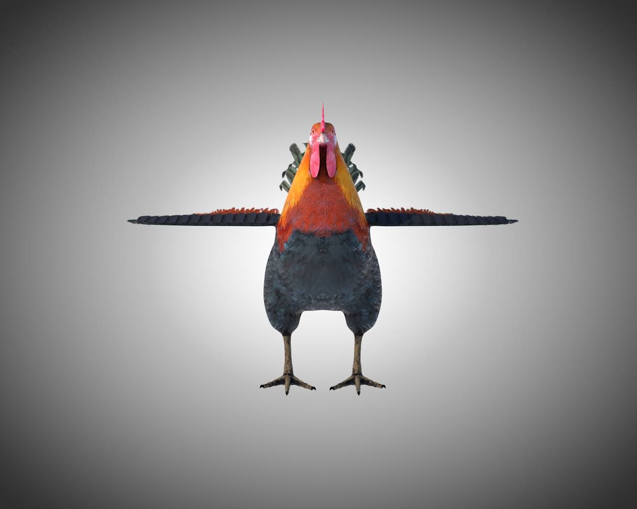 Rooster - 3D Model by 3dstudio