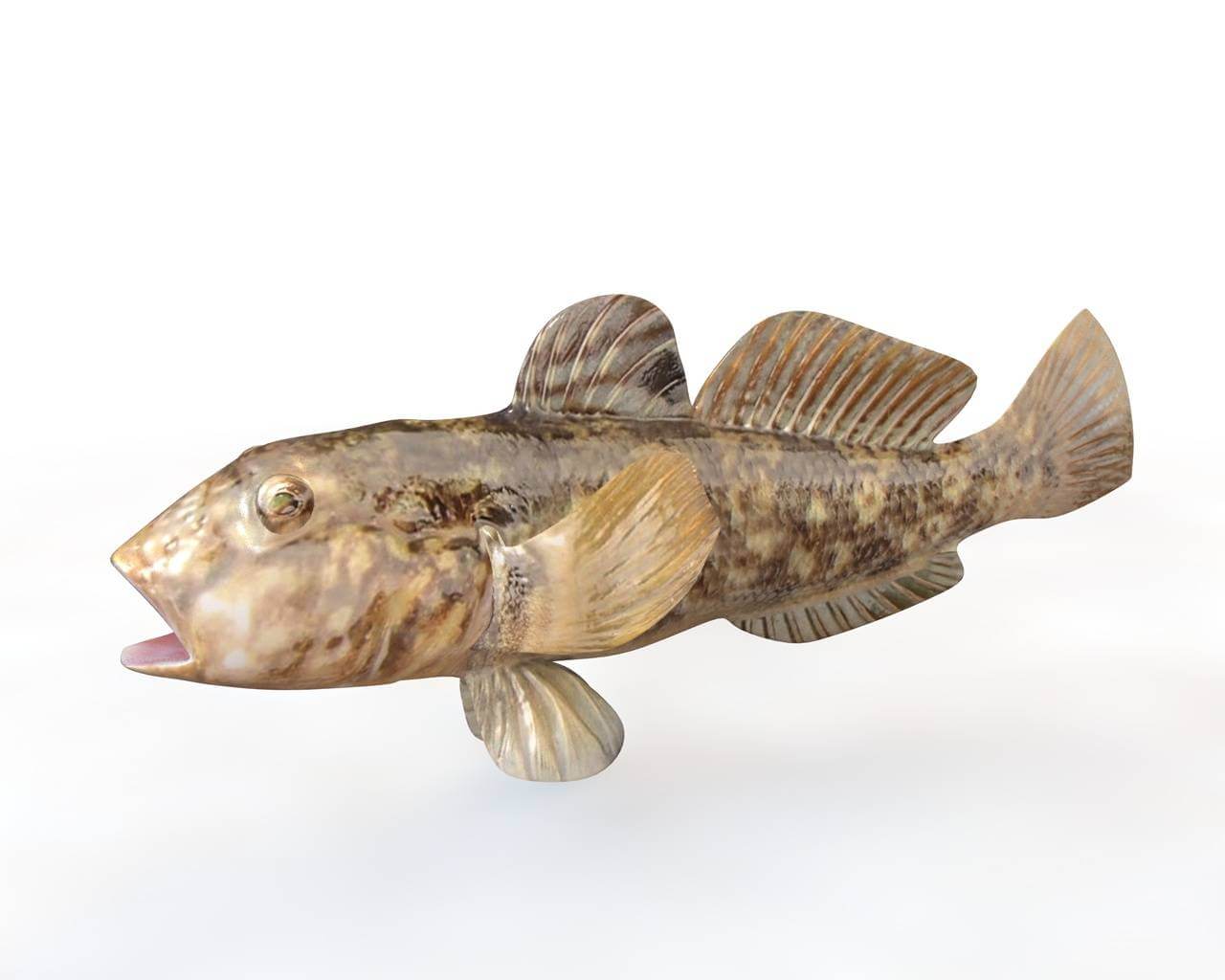 Round Goby - 3D Model by 3dstudio