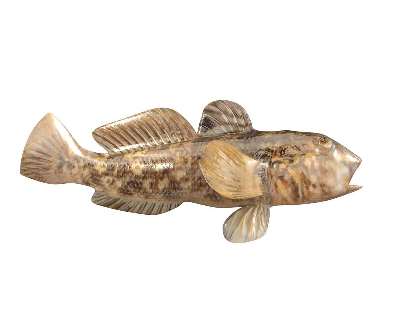 Round Goby - 3D Model by 3dstudio