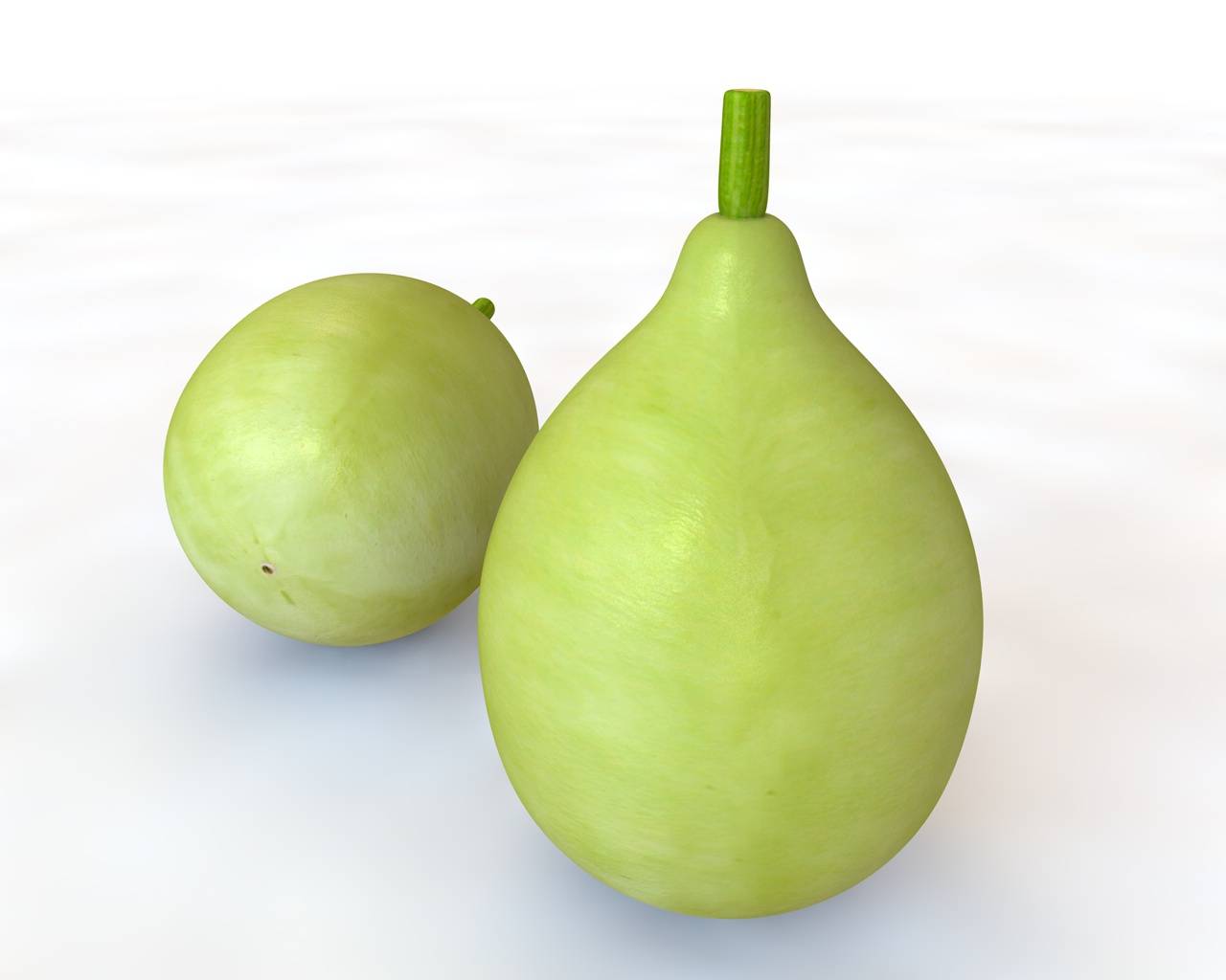 Round Gourd - 3D Model by 3dstudio