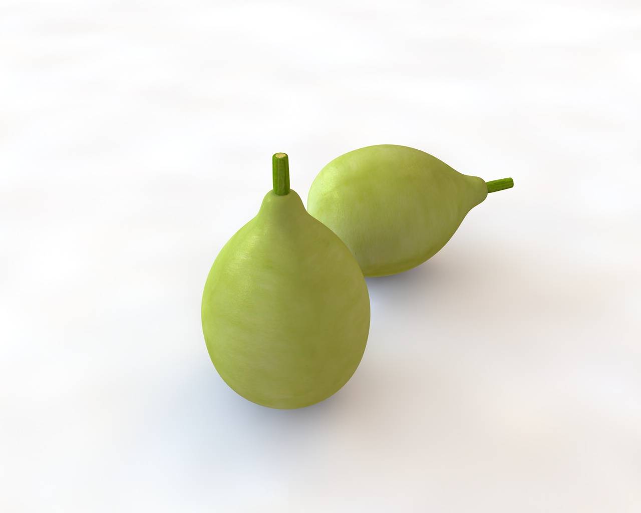 Round Gourd - 3D Model by 3dstudio