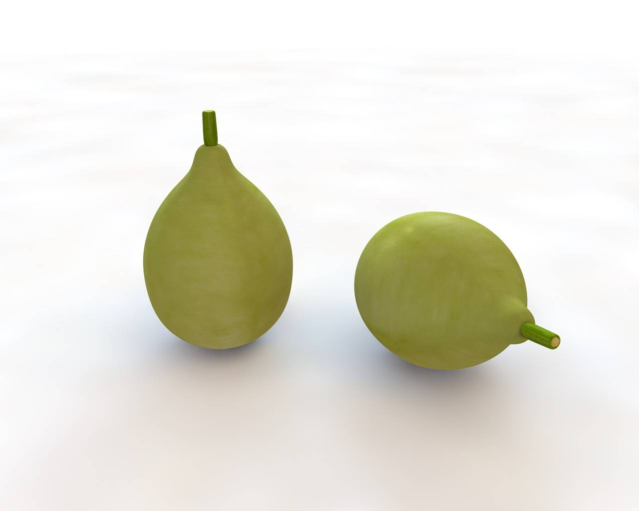 Round Gourd - 3D Model by 3dstudio