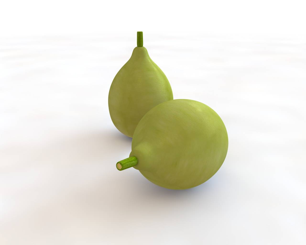 Round Gourd - 3D Model by 3dstudio