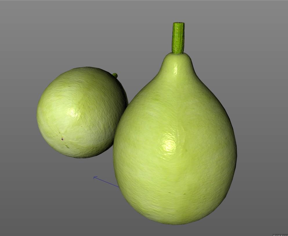 Round Gourd - 3D Model by 3dstudio