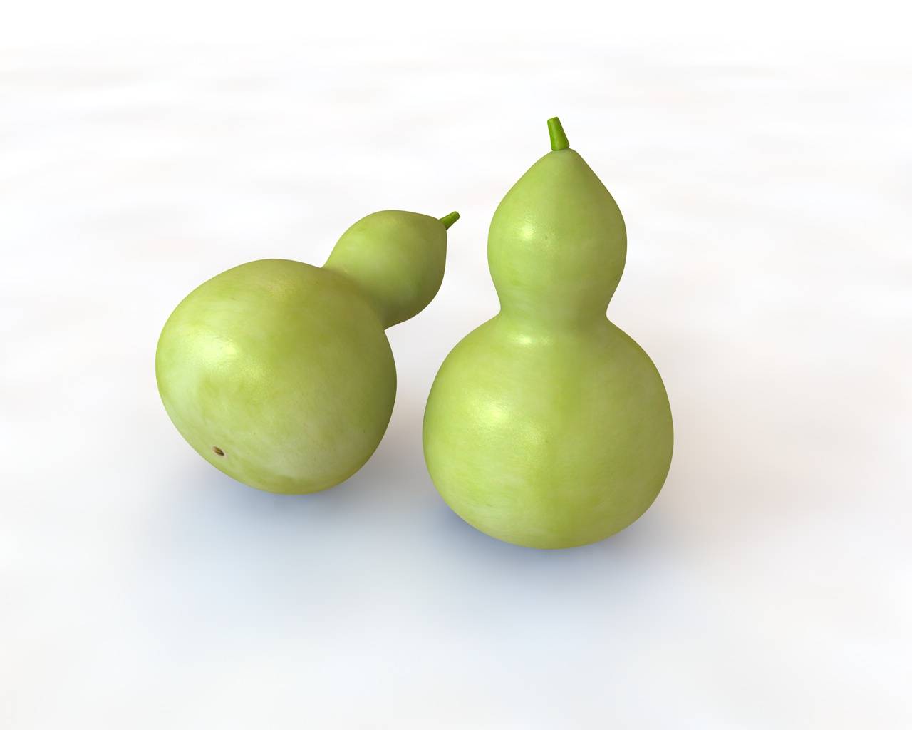 Round Neck Gourd - 3D Model by 3dstudio