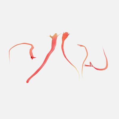 Saffron 3D Model by 3dstudio