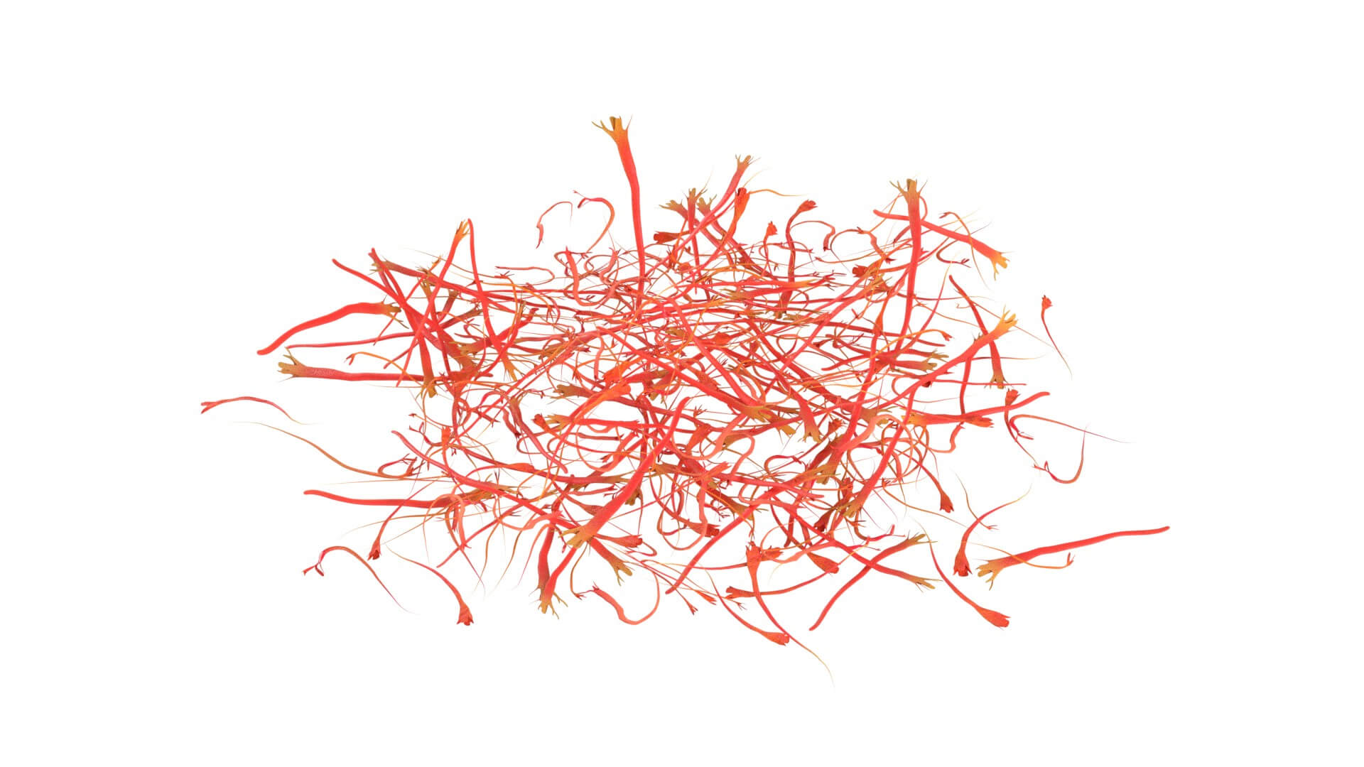 Saffron Pile 3D Model by 3dstudio