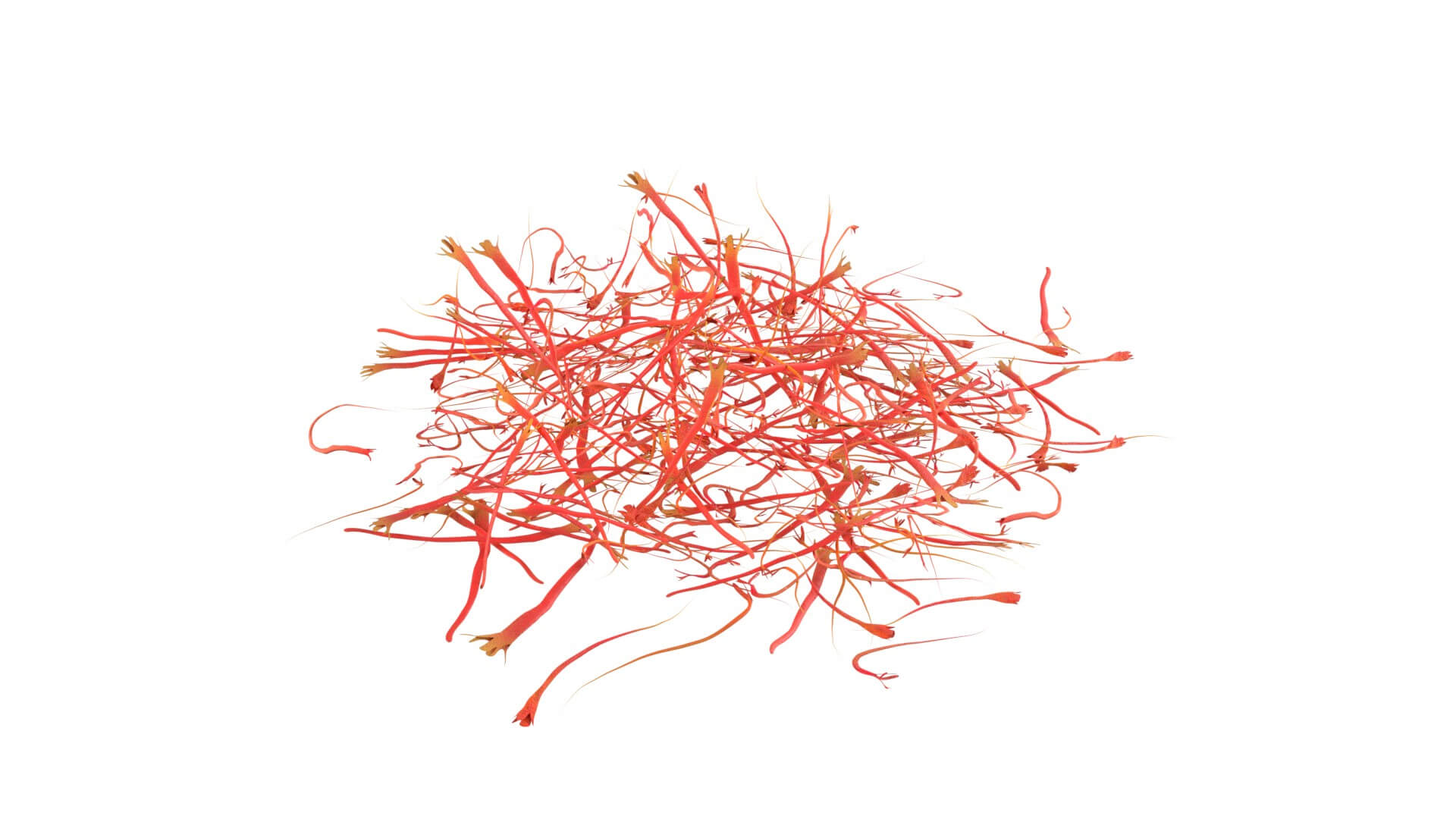 Saffron Pile 3D Model by 3dstudio
